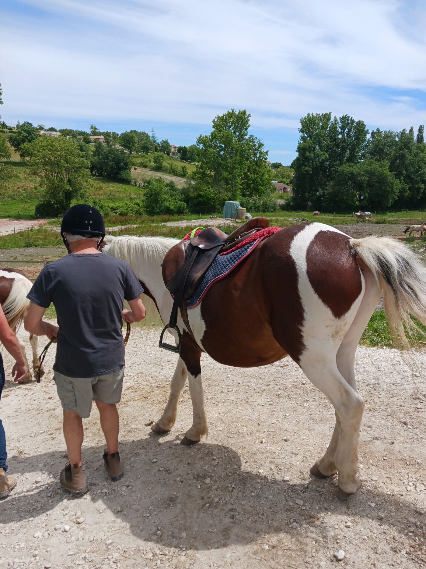 Renouvellement d'un partenariat autour de l'équithérapie